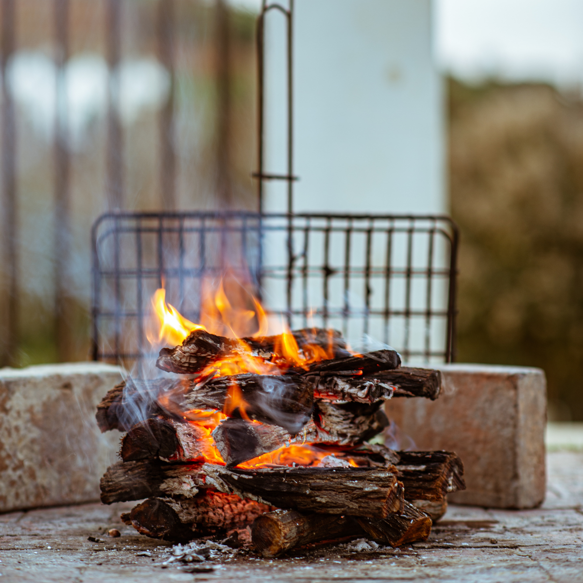 Lion's Head Solutions - Lions Head Solutions