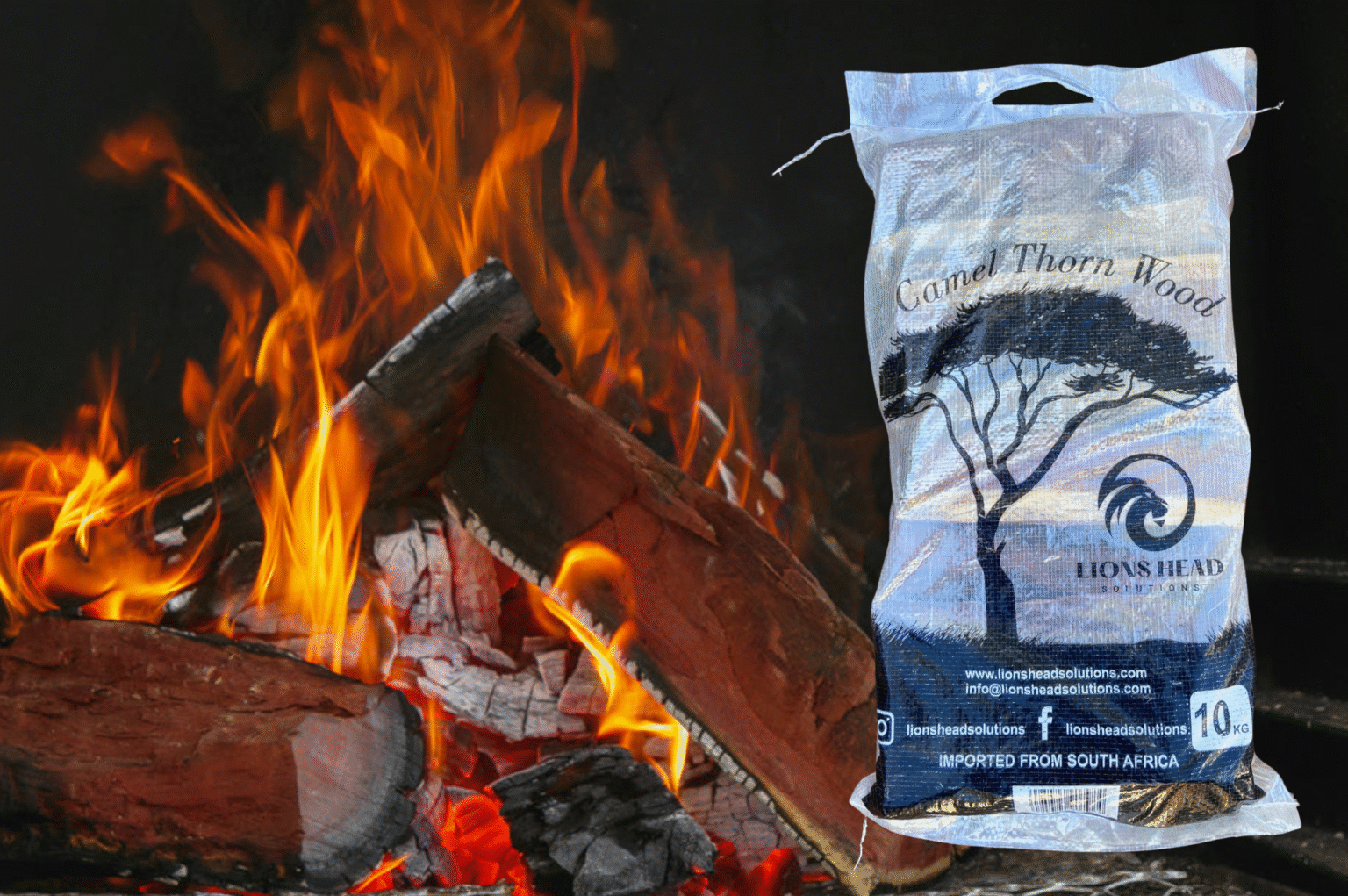 Lion's Head Solutions - Lions Head Solutions